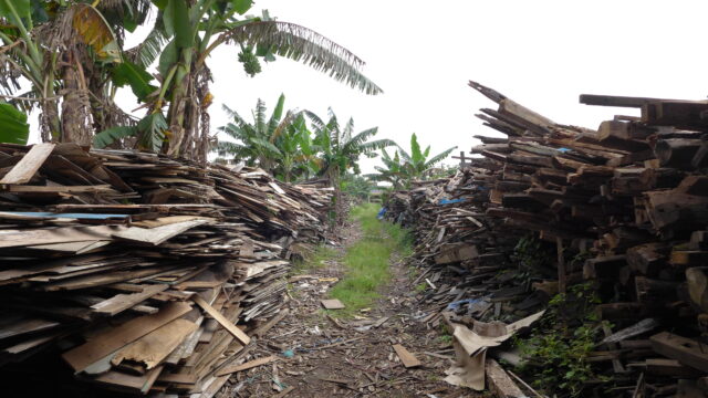 The Teak Collection - MaterialDistrict