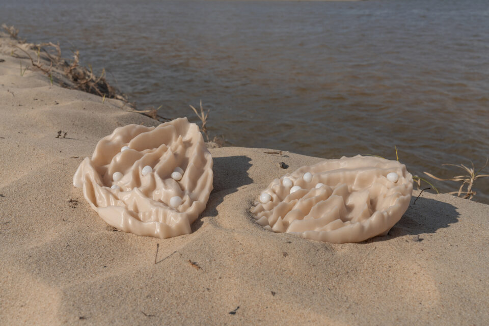 A 3D printed artistic carbon storage made of mussel shells ...