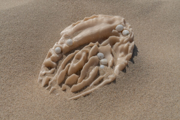 A 3D printed artistic carbon storage made of mussel shells ...