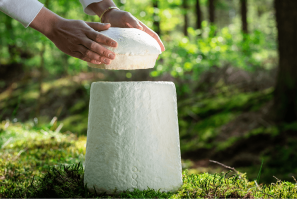 A living urn made of mycelium - MaterialDistrict