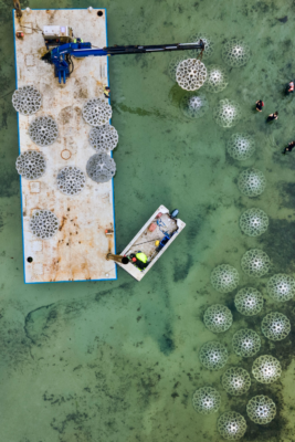 3D printed wave break modules made of local shell waste - MaterialDistrict