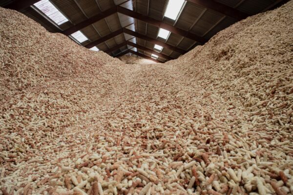 Interior wall cladding made of corn cobs - MaterialDistrict