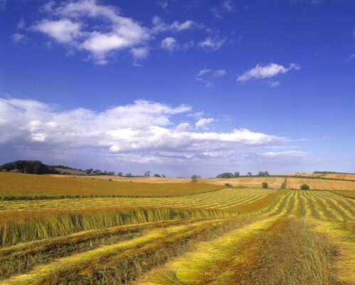 Faay - MaterialDistrict