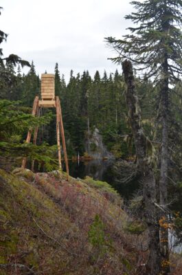 A bear cache made of reclaimed wood - MaterialDistrict