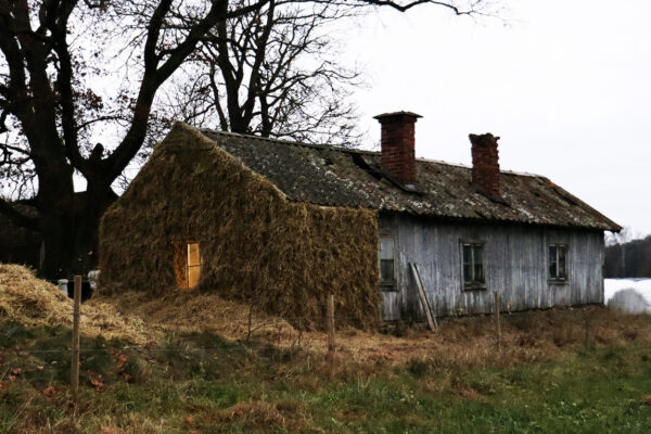 A house made of hay - MaterialDistrict