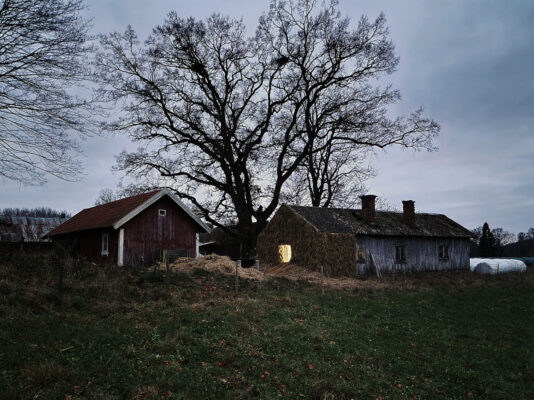 A house made of hay - MaterialDistrict