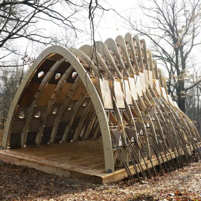 A multispecies habitat made of living trees - MaterialDistrict