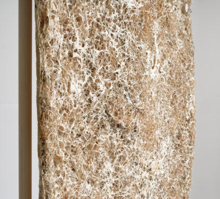 An acoustic panel made of mycelium - MaterialDistrict