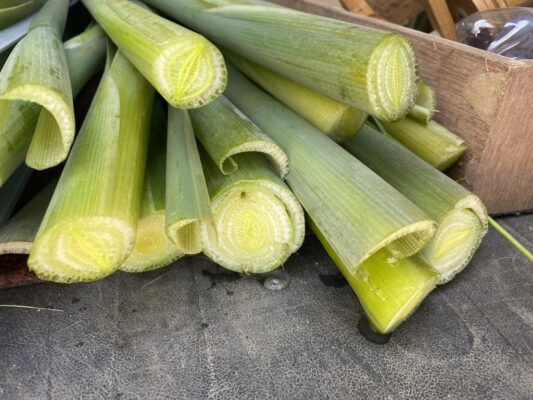 Rietgoed reed textile - MaterialDistrict