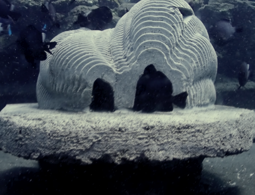 A Memorial Crafted from Pet Ashes and Crushed Shells - MaterialDistrict