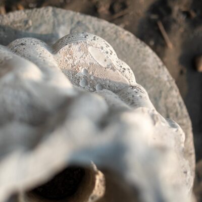 A Memorial Crafted from Pet Ashes and Crushed Shells - MaterialDistrict