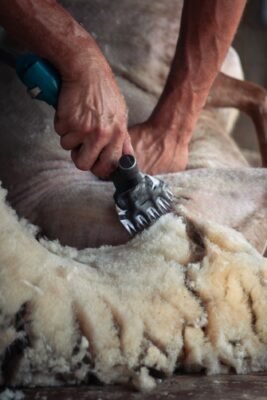 What Not to Miss at Dutch Design Week 2024: Exploring Sustainable and ...