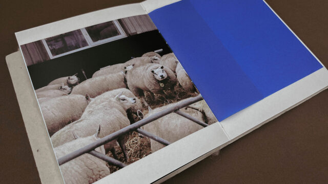 What Not to Miss at Dutch Design Week 2024: Exploring Sustainable and ...