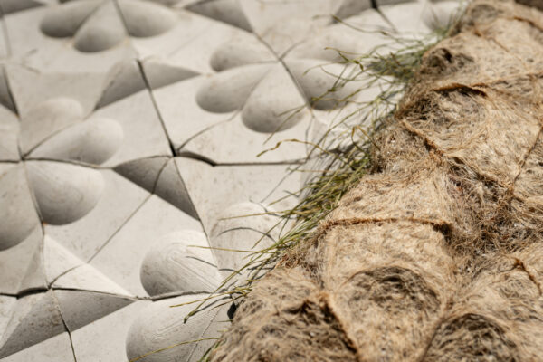 Growing Textiles: Blurring the Lines Between Natural and Synthetic in ...