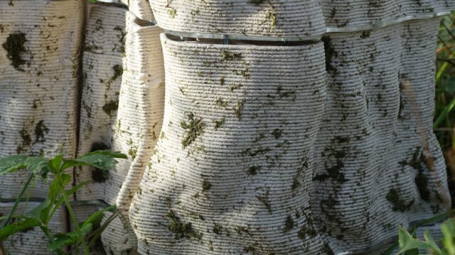 Bio-receptive 3D printed ceramics - MaterialDistrict