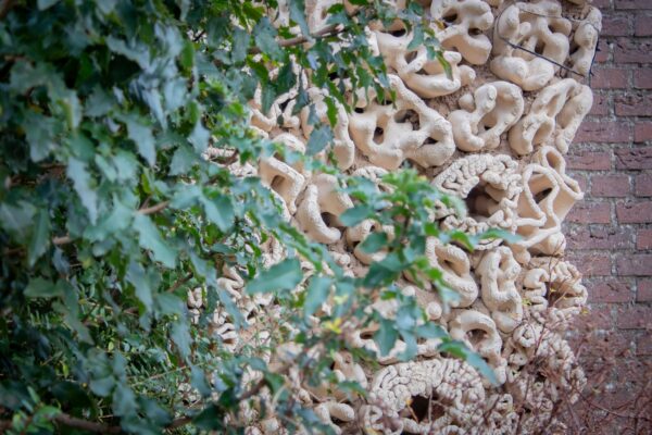 Urban Reef - MaterialDistrict