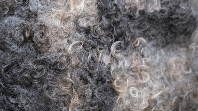 PSYCHEDELIC TEXTILES - MaterialDistrict