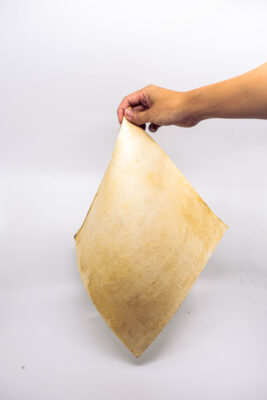 MYLEA - MaterialDistrict