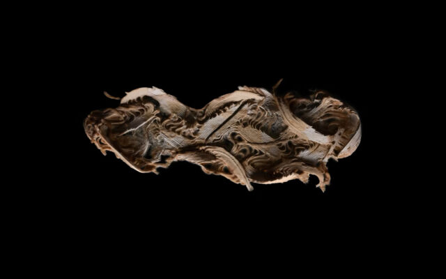 Biodegradable Design: OXMAN’s Innovative Shoe Platform - MaterialDistrict