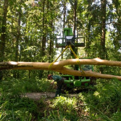 Innovative Timber Construction: The Tree and the Truss - MaterialDistrict