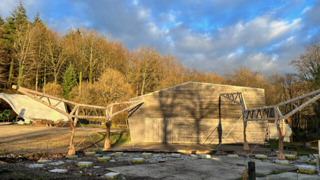 Innovative Timber Construction: The Tree and the Truss - MaterialDistrict