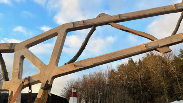 Innovative Timber Construction: The Tree and the Truss - MaterialDistrict