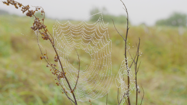 Ponda BioPuff® - MaterialDistrict