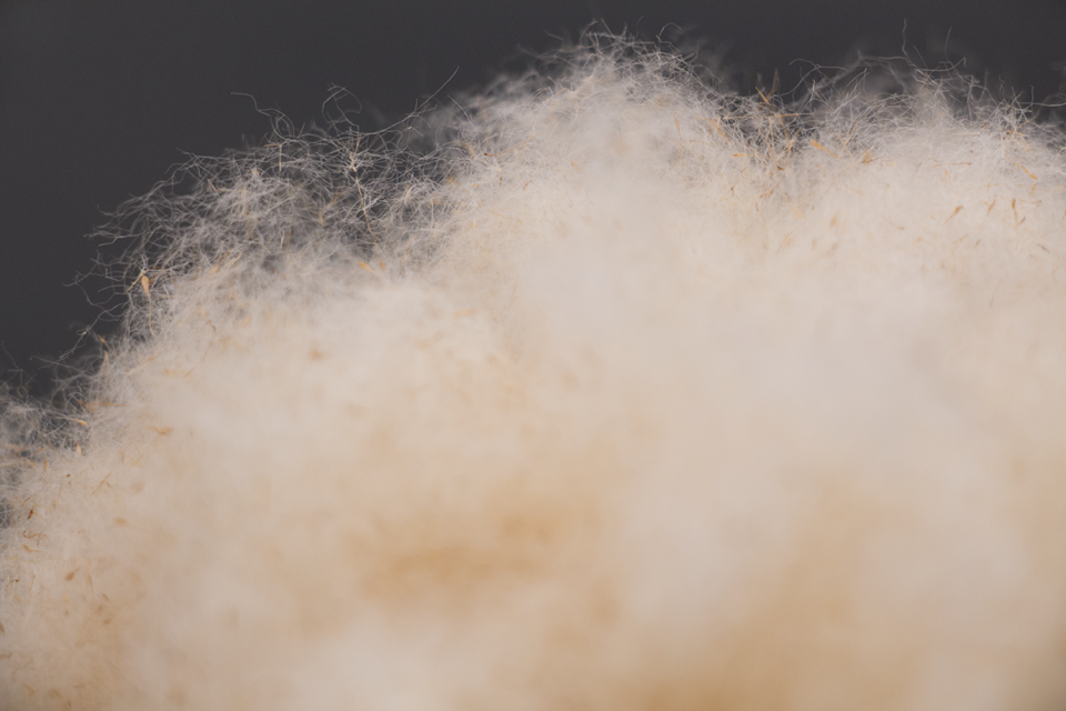 Ponda BioPuff® - MaterialDistrict