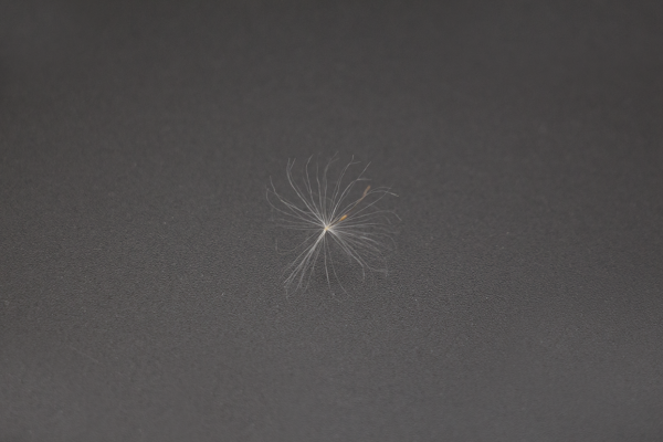 Ponda BioPuff® - MaterialDistrict