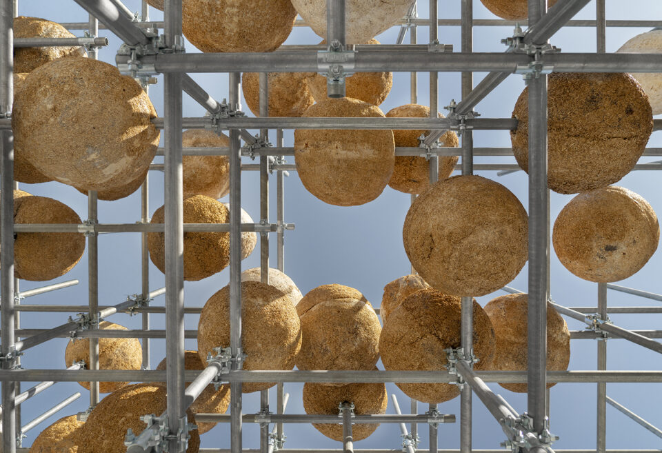 Growing Matter(s): A Living Pavilion Built from Mycelium - MaterialDistrict