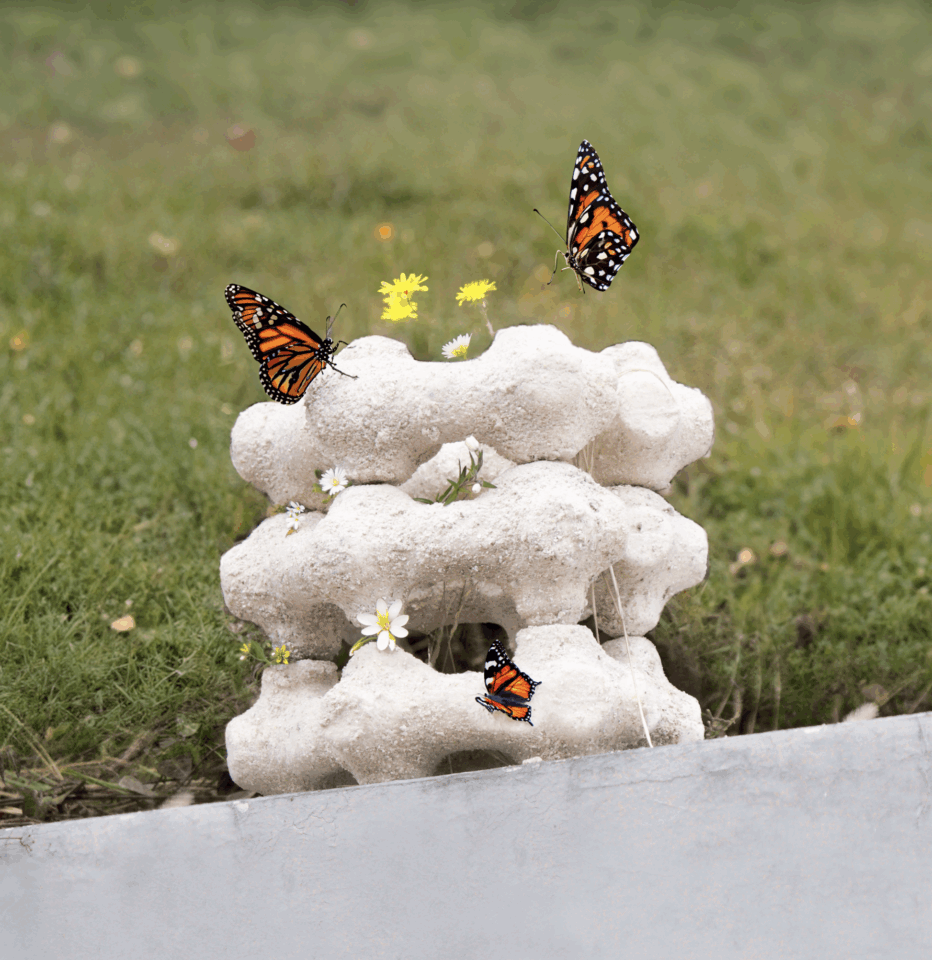 EggNest: A Modular Urban Habitat for Butterflies, Made from Eggshells ...