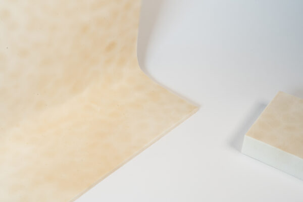 Mycelium Foam - MaterialDistrict