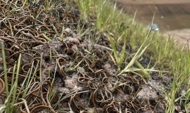 Secumat® Green – Biodegradable Erosion Control Mat - MaterialDistrict