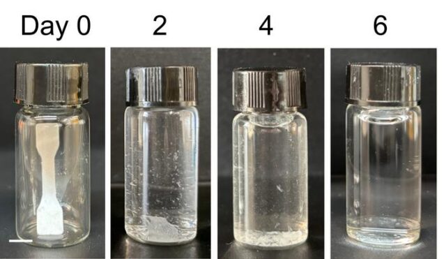 Living Plastic That Self-Destructs On Command Within Days ...