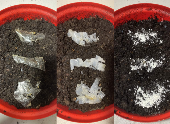 Eco Purge: Biodegradable Plastic Designed To Break Down Microplastics ...